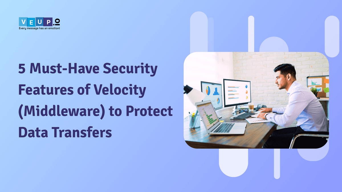 5 Must-Have Security Features of Velocity | VeUp Technologies